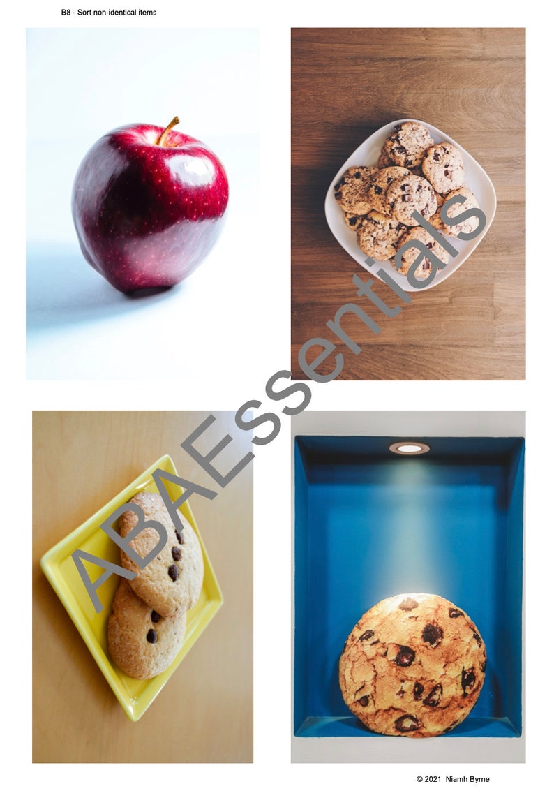 ABLLS-R B8 Materials flashcards Sort Non-identical Items - Etsy