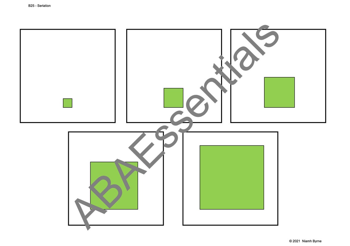ABLLS-R Materials Section B Visual Performance - Etsy UK
