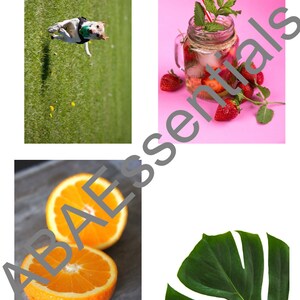 ABLLS-R Materials Section B Visual Performance - Etsy