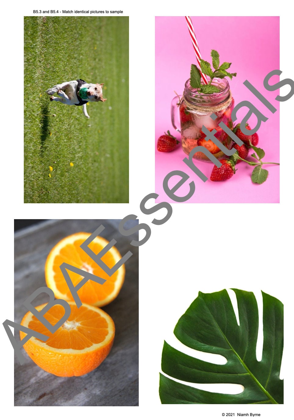 ABLLS-R Materials Section B Visual Performance - Etsy