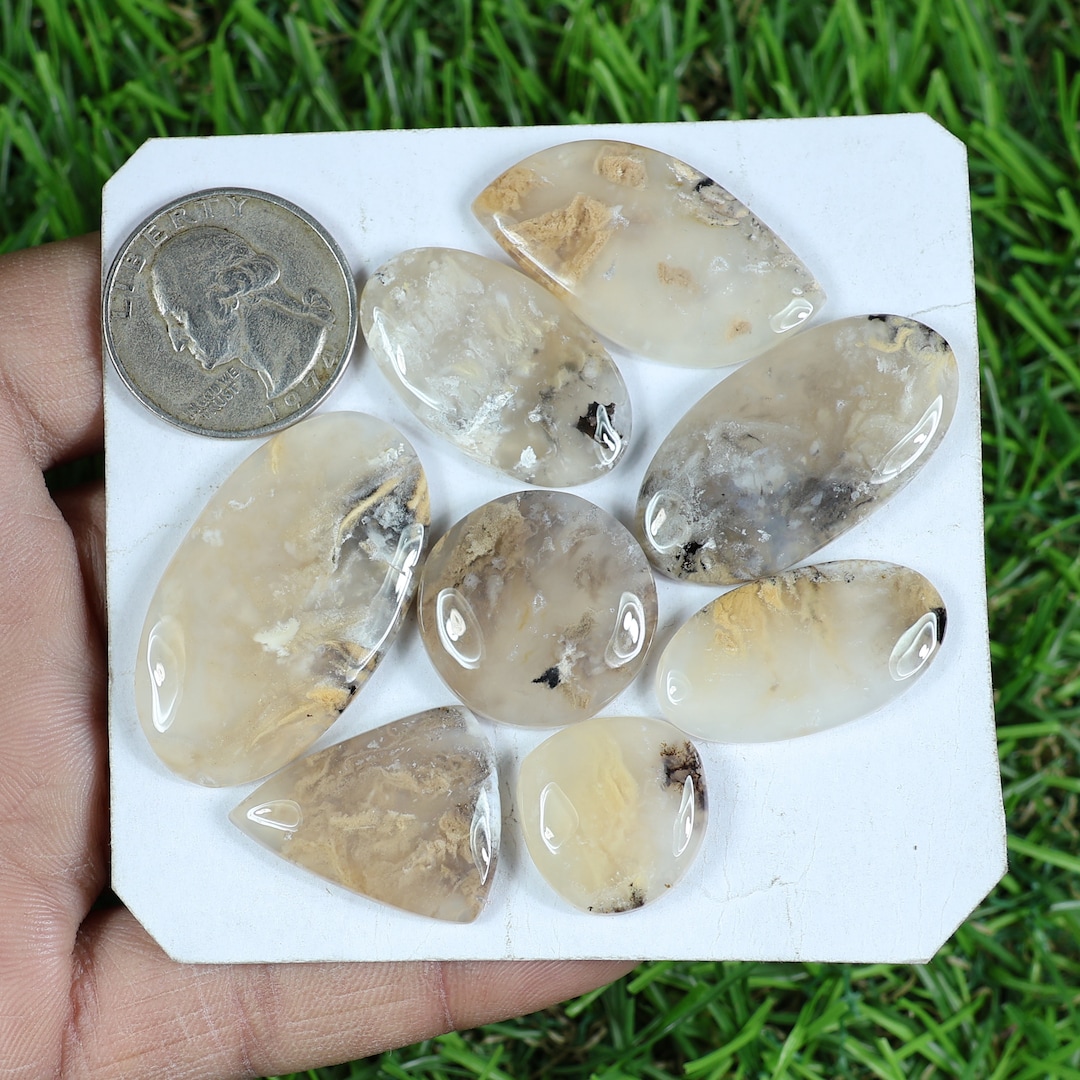 Tiger Dendrite Tiger Agate Gemstone Lot, 8 Pieces 165 Carat, Crystal ...