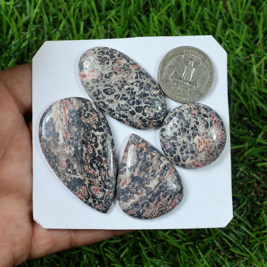 Leopard Skin Jasper Gemstone 4 Pieces 178 Carat, Natural Leopard Jasper ...