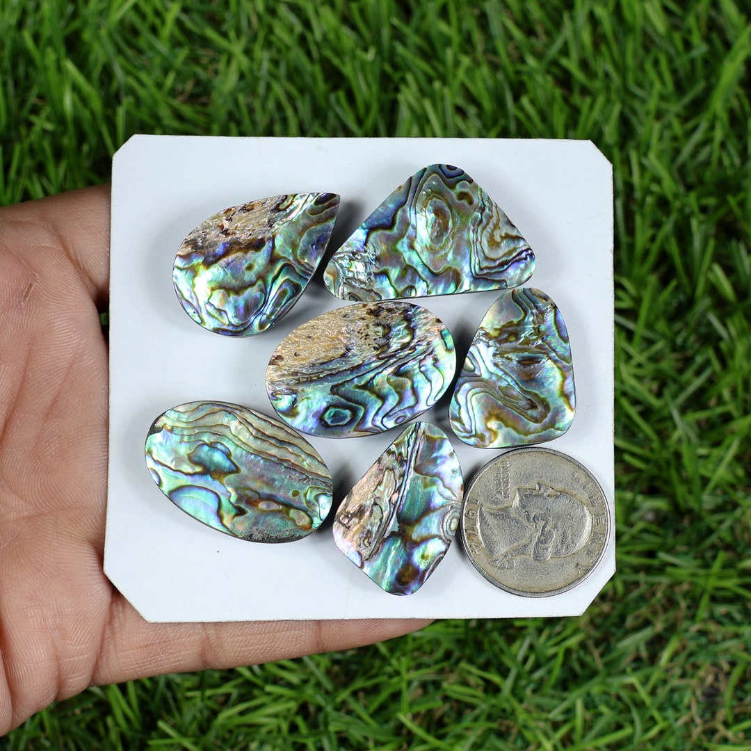 Rare Abalone Shell Slice Lot for Making Jewelry 6 Pieces 206 - Etsy