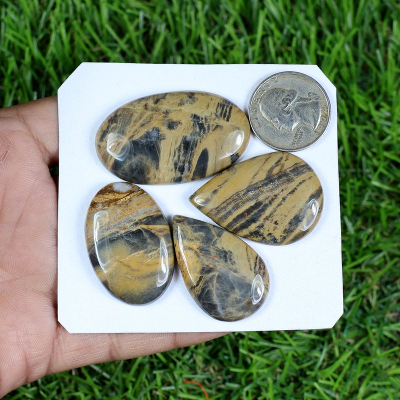 Tiger Skin Jasper - Etsy