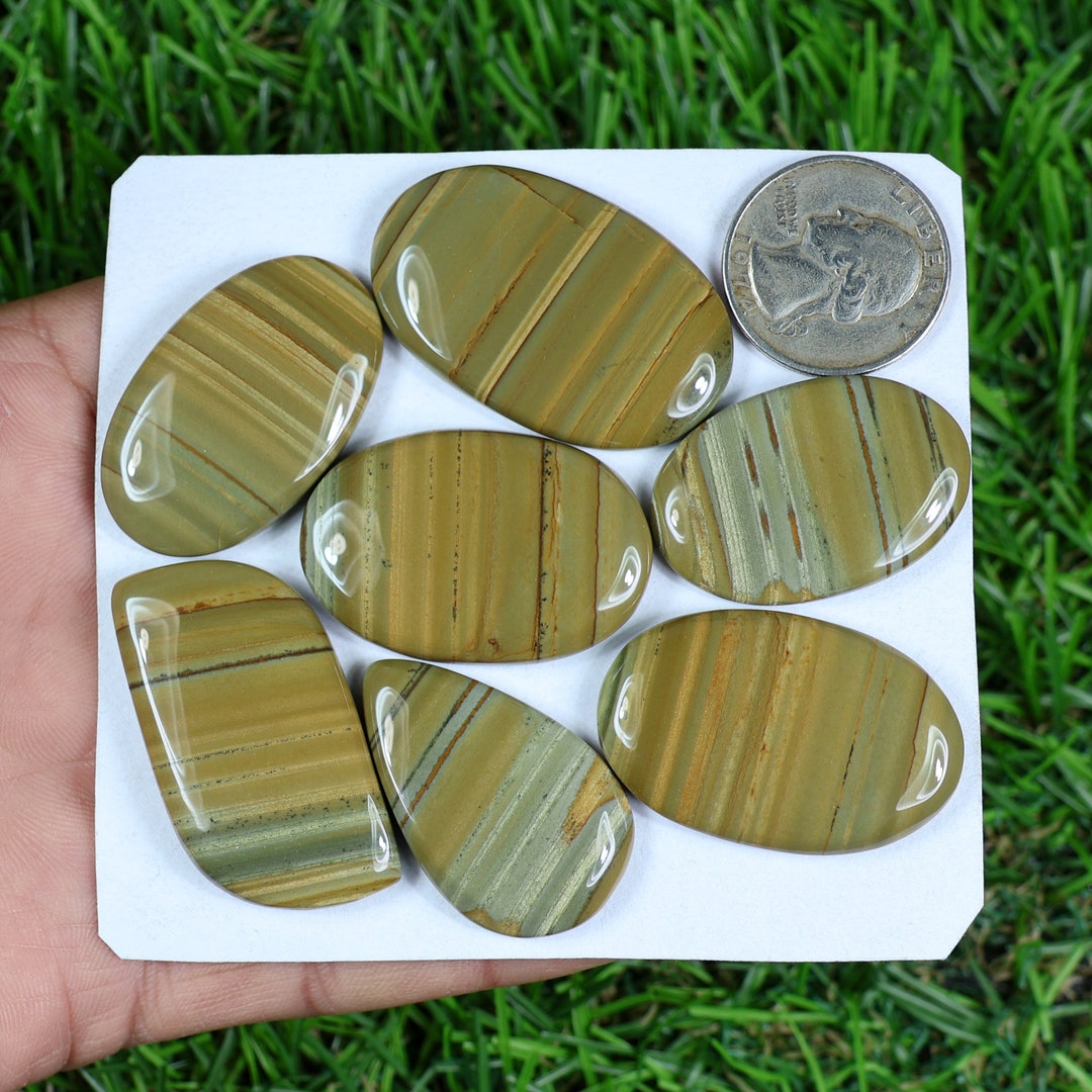 Samsonite Gemstone 7 Pieces 310 Carat, Natural Samsonite Cabochon, Mix ...