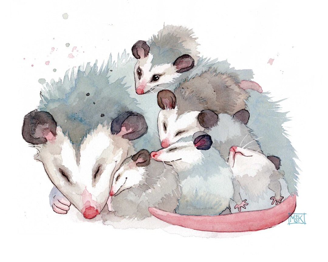 Cute Possums, Mother's Gift, Opossum Lover Gift, Print of Pile O ...