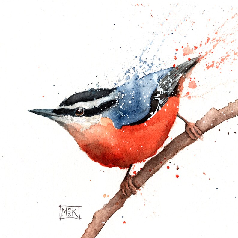 Nuthatch Print, Watercolor Bird Print, Red-breasted, Nuthatch Print ...