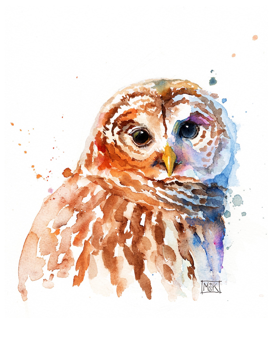 Barred Owl Print, Colorful Owl Bird Lovers Print, Gift for Owl Lover ...