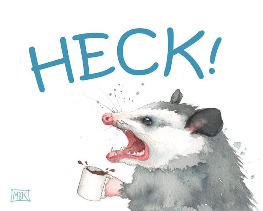 Cute Opossum Gift, 'possum Yelling HECK Print, 'opossum Lover Gift ...