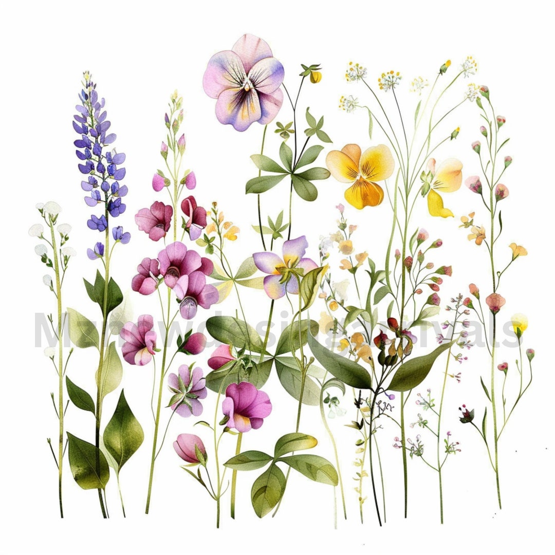 4 Wildflowers Bouquet Clipart, Wild Flowers, Printable Watercolor ...