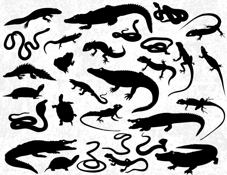 30 Reptile Silhouettes Clip Arts Reptiles SVG Cut Files - Etsy