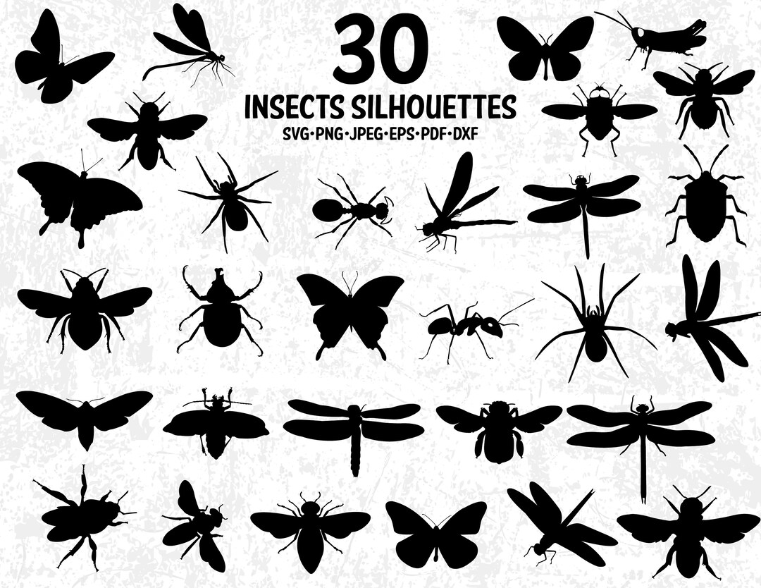 30 Insects Silhouette Clip Arts, Insects Silhouette SVG Cut Files ...