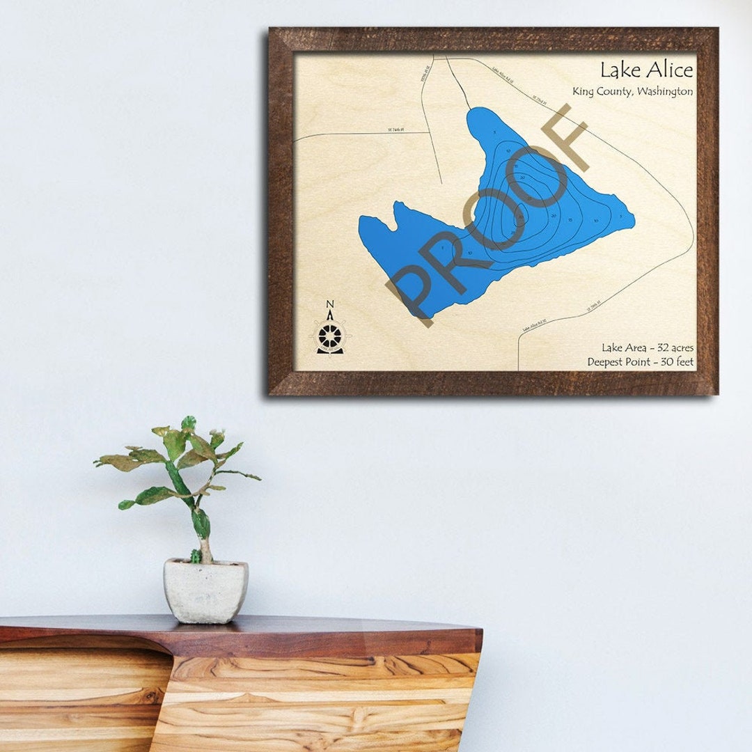 Lake Alice, WA 3D Wood Map 3D Depth Map, Cabin Decor, Lake House Decor ...