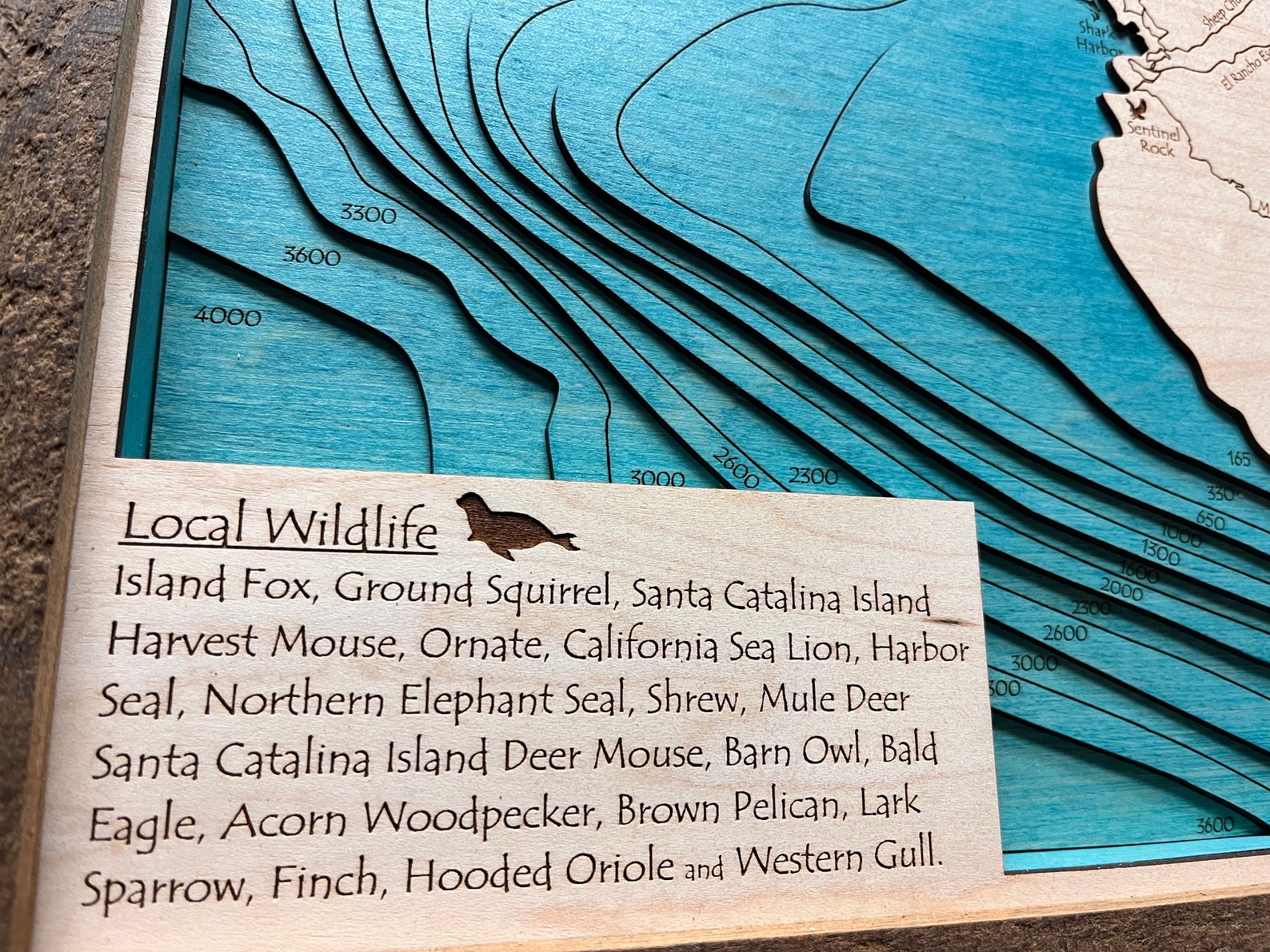 3D Catalina Map Nautical Wood Chart Laser-etched Carved 3D Wood Map ...