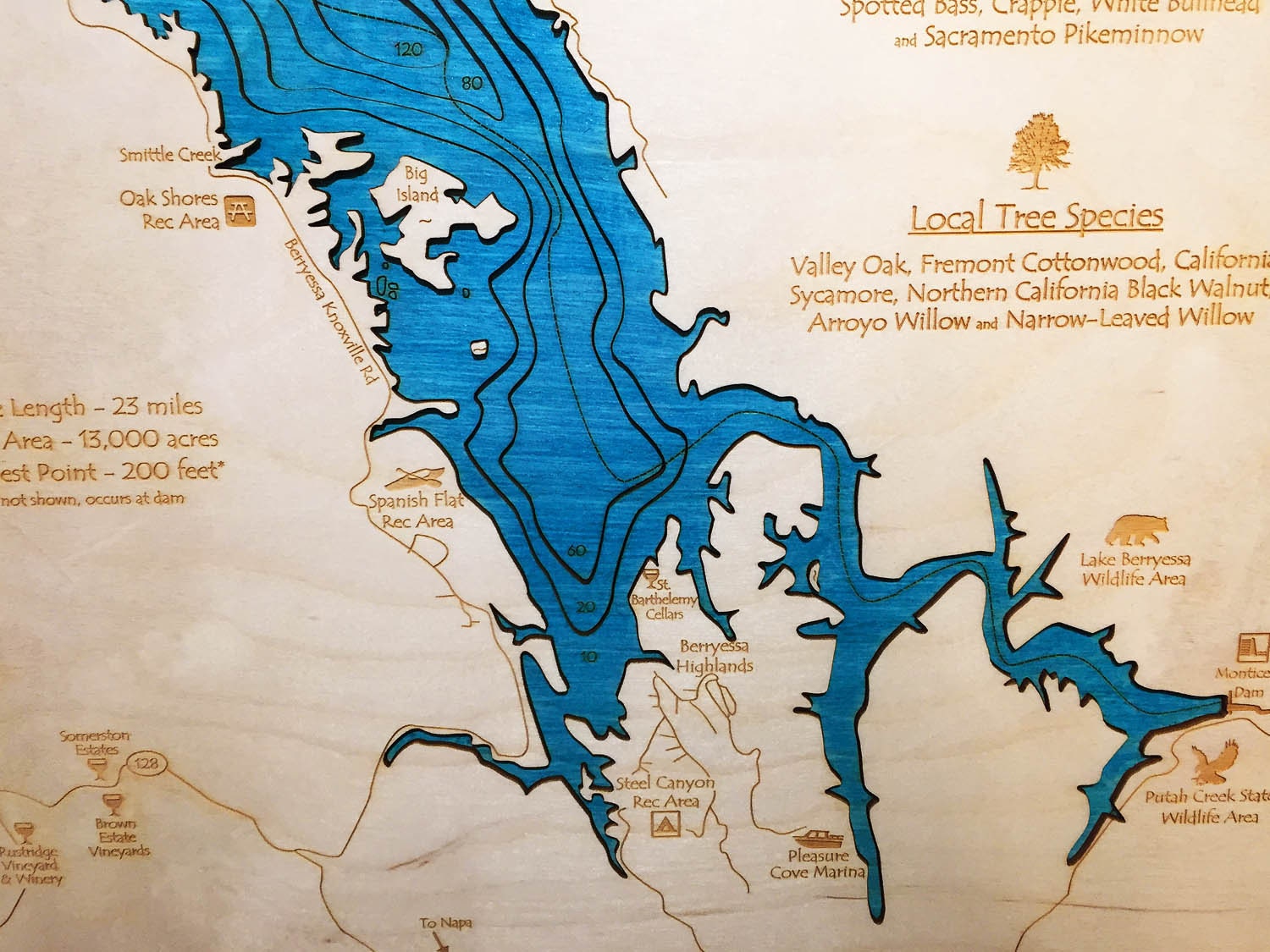 Lake Berryessa California 3D Laser-cut Wood Map Depth Map of | Etsy