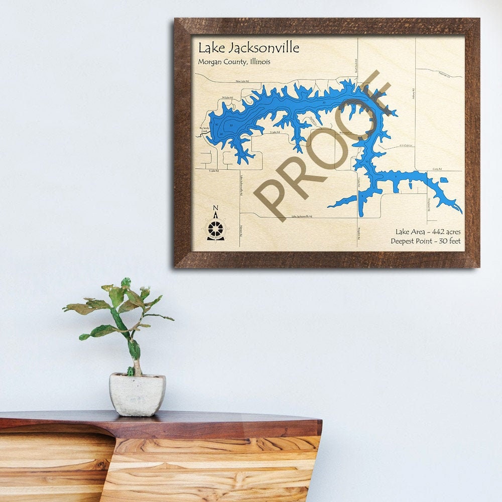 Lake Jacksonville Illinois 3D Wood Map Custom Nautical Map | Etsy