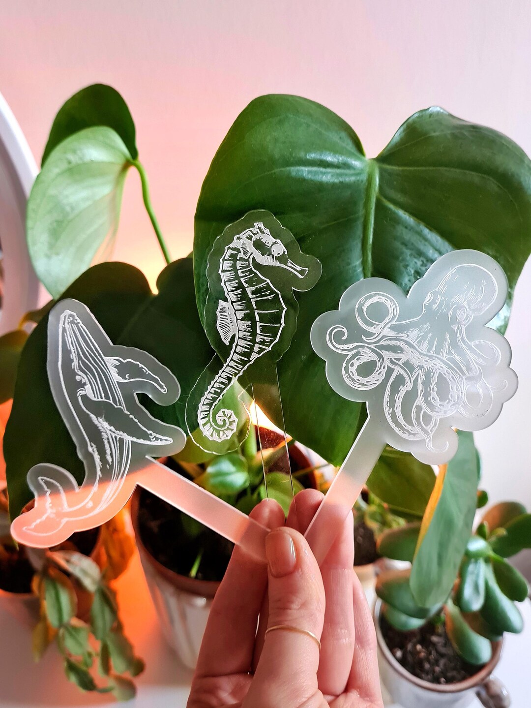 Sea Creature Plant Stake House Plant Pot Decor Plant Lover Gift Whale ...