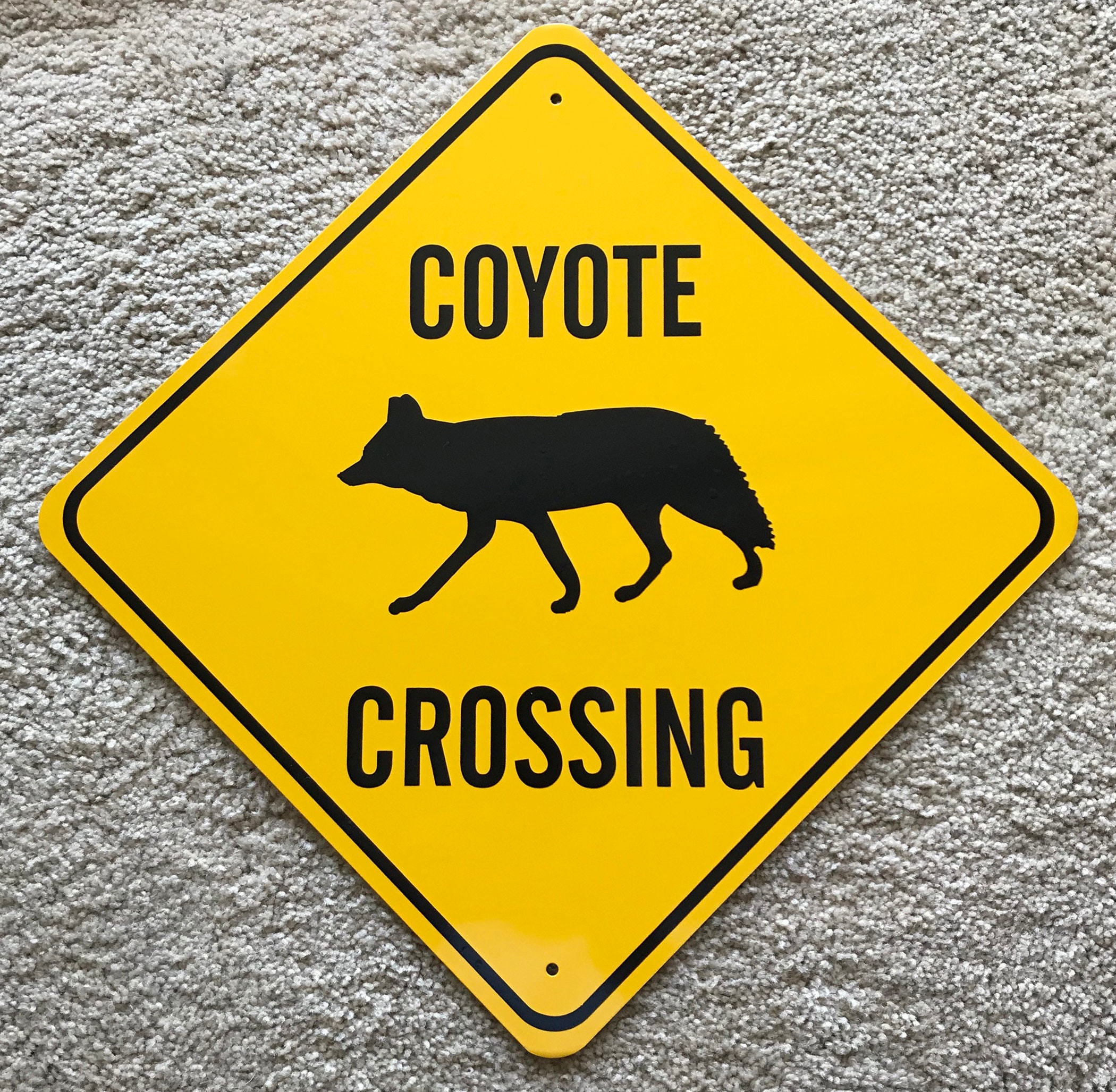 Coyote Crossing Sign. Free Priority Shipping Made Especially - Etsy