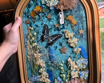 Antique Bubble Glass Insect Frame humepenthe - Etsy