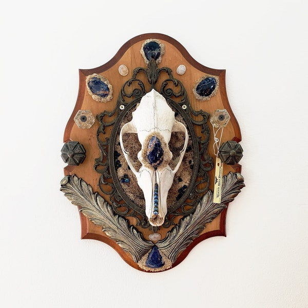 Animal Mount Wall Decor - Etsy