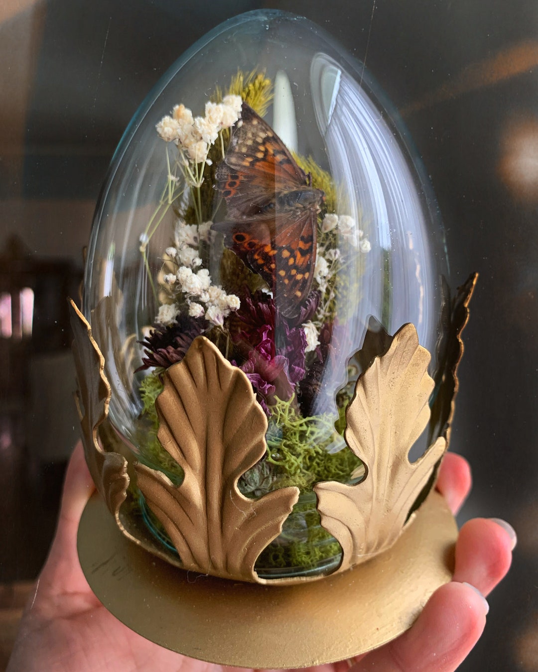 Miniature Glass Egg Terrarium Vintage Brass Gold Base - Etsy
