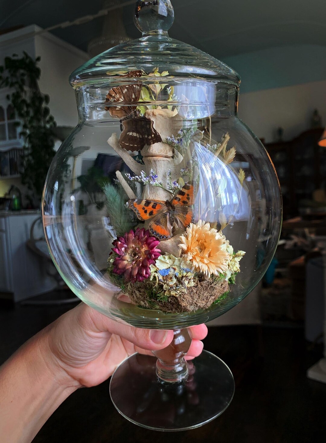 Glass Cloche Terrarium, Deer Vertebrae and Butterfly Art, Gothic Nature ...