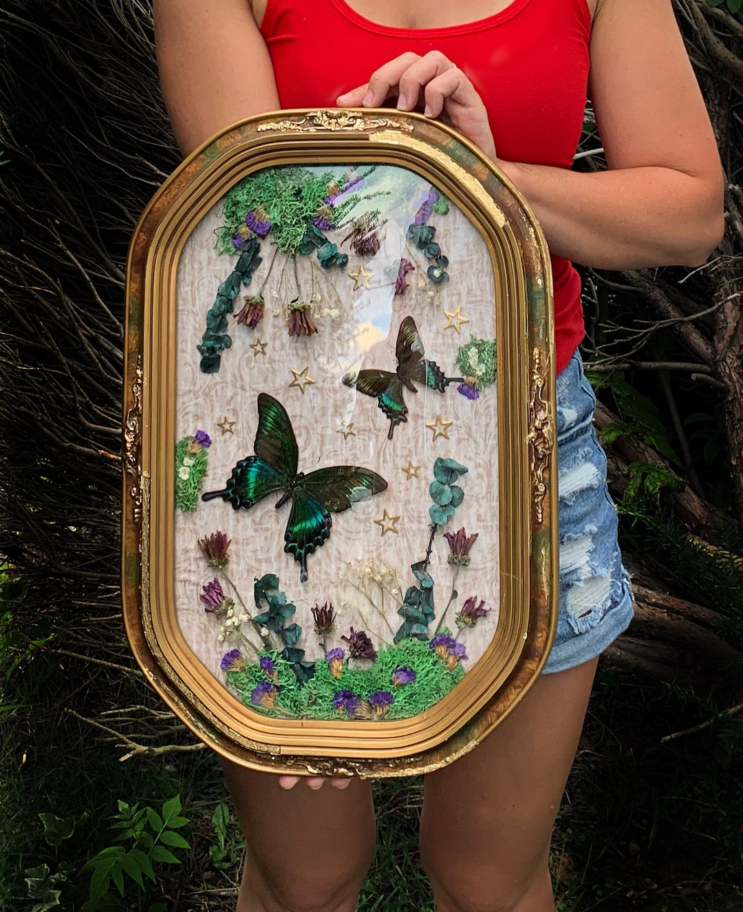 Ornate Antique Wooden Bubble Glass Frame Butterflies in - Etsy
