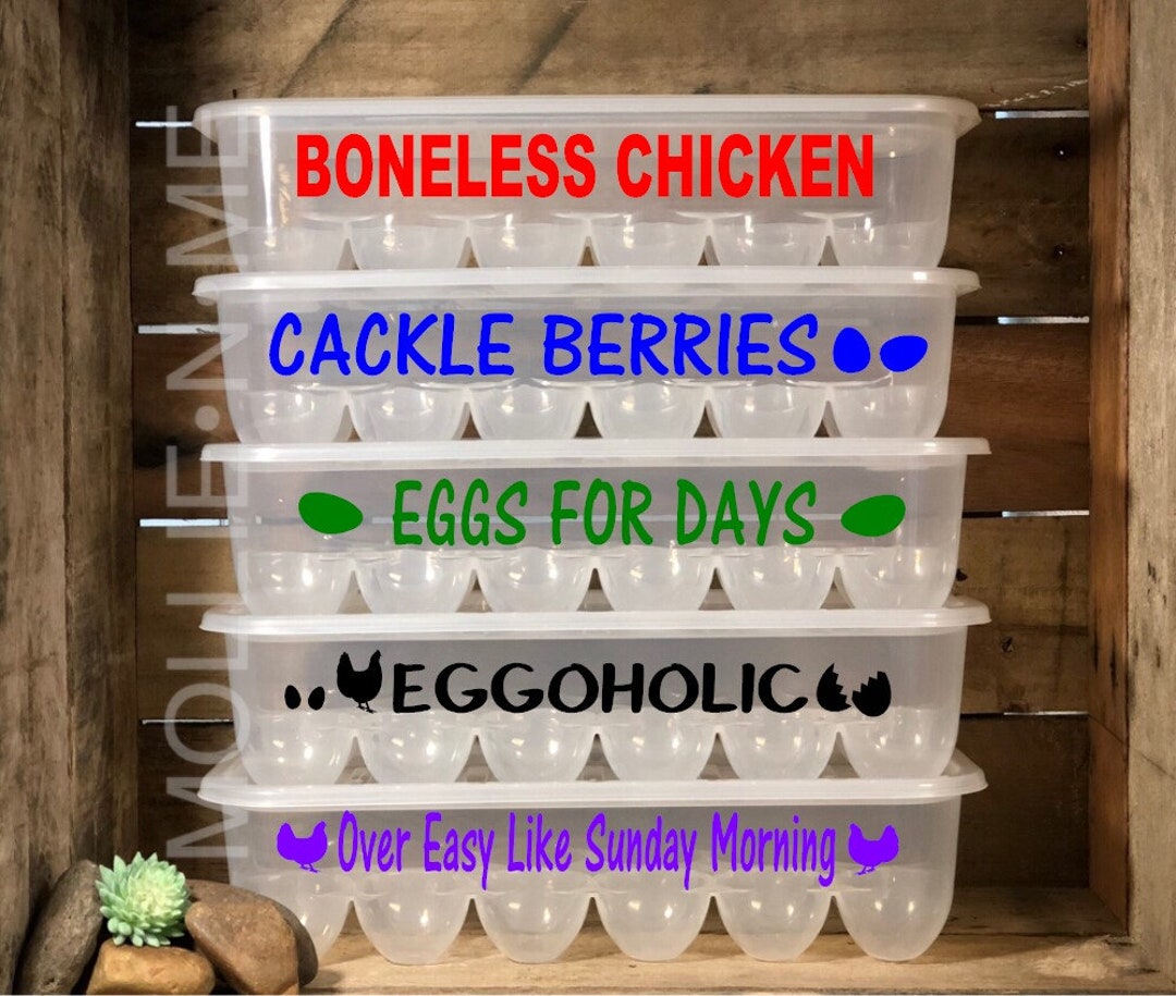 Fun Chicken Reusable Plastic Egg Carton -funny Egg Container - Egg ...