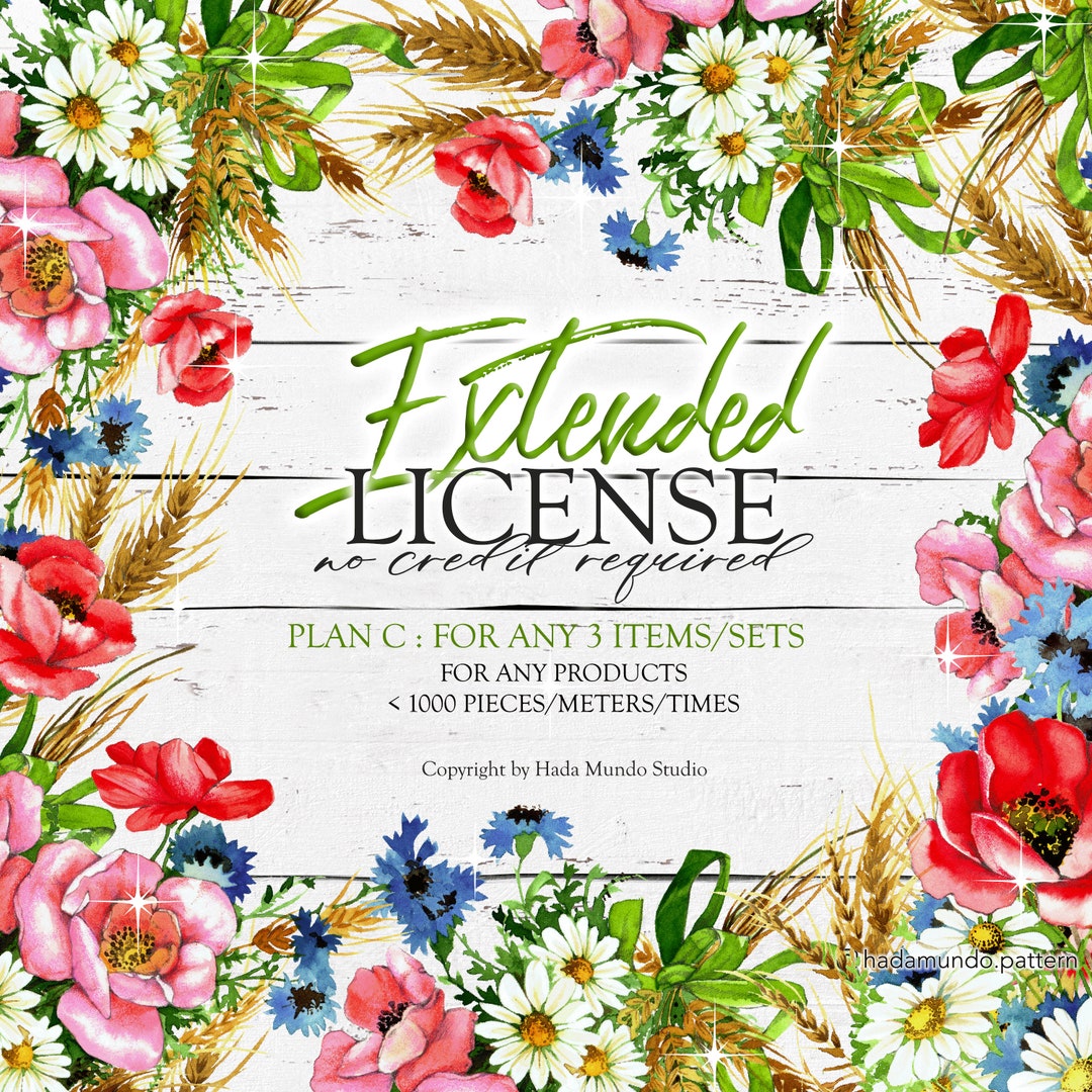 Extended License: Any 3 Clipart or Pattern Sets, up to 1000 Units - Etsy