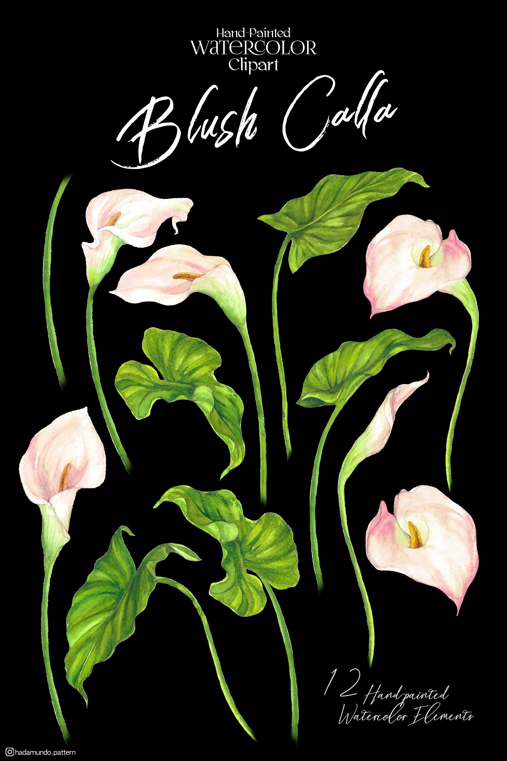 Calla Lily Watercolor Floral Clipart, Bridal Shower Invitation, Wedding ...