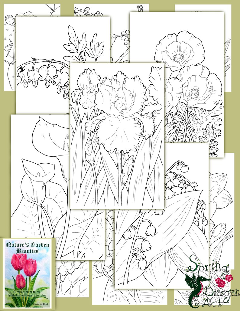 Nature's Garden Beauties-a Printable Coloring Book by Anastasia Bisel ...