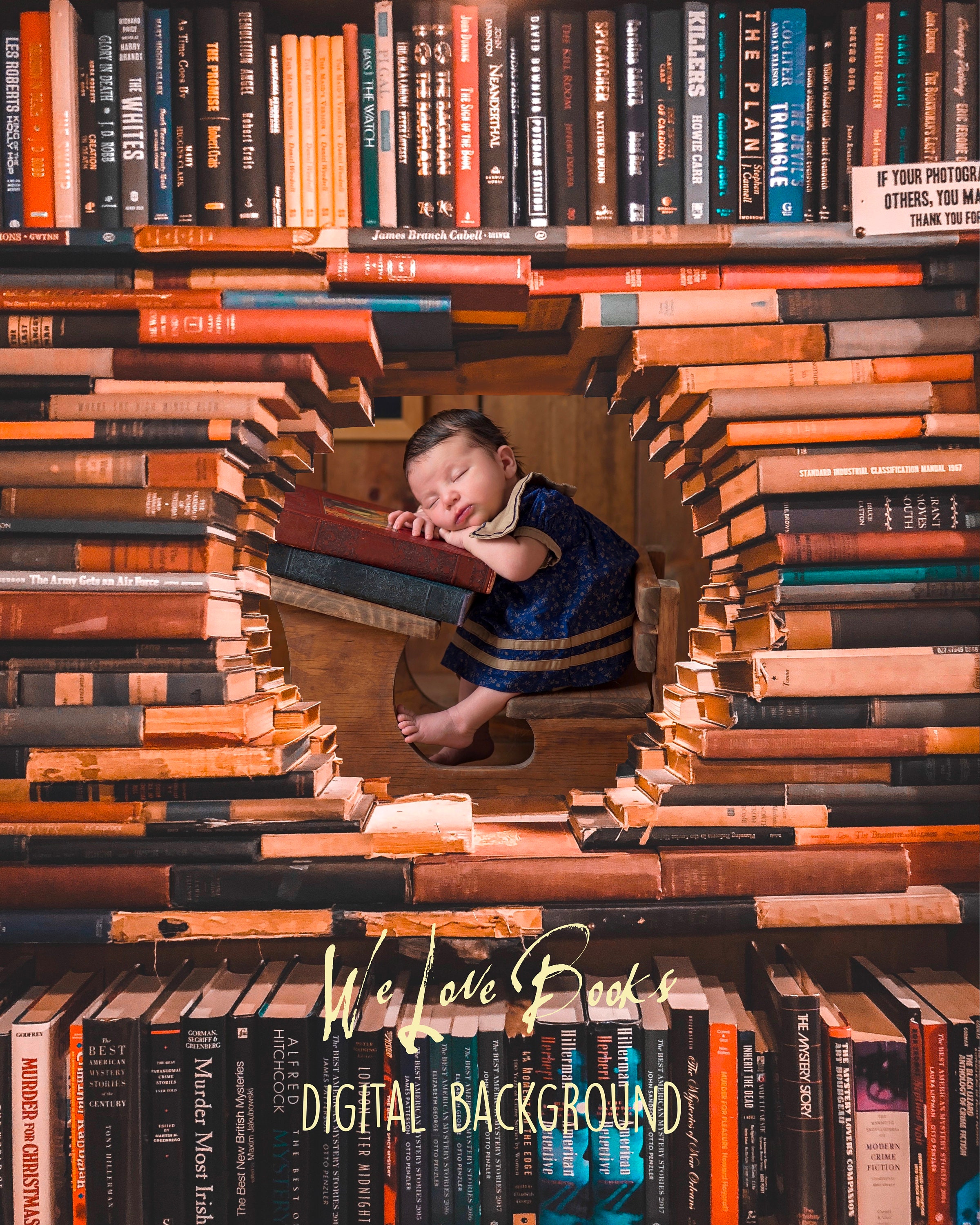 Easy Digital Backdrop, Digital Background, Digital Backdrop, Photo ...