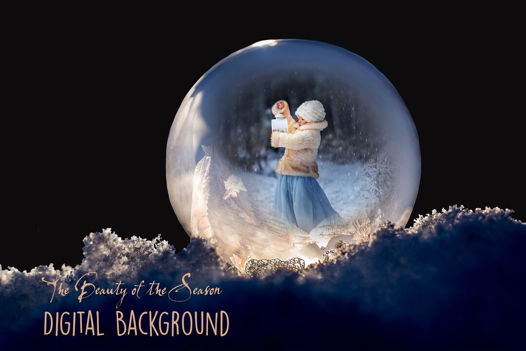 Snow Globe Digital Backdrop, Digital Backdrop, Winter Background ...