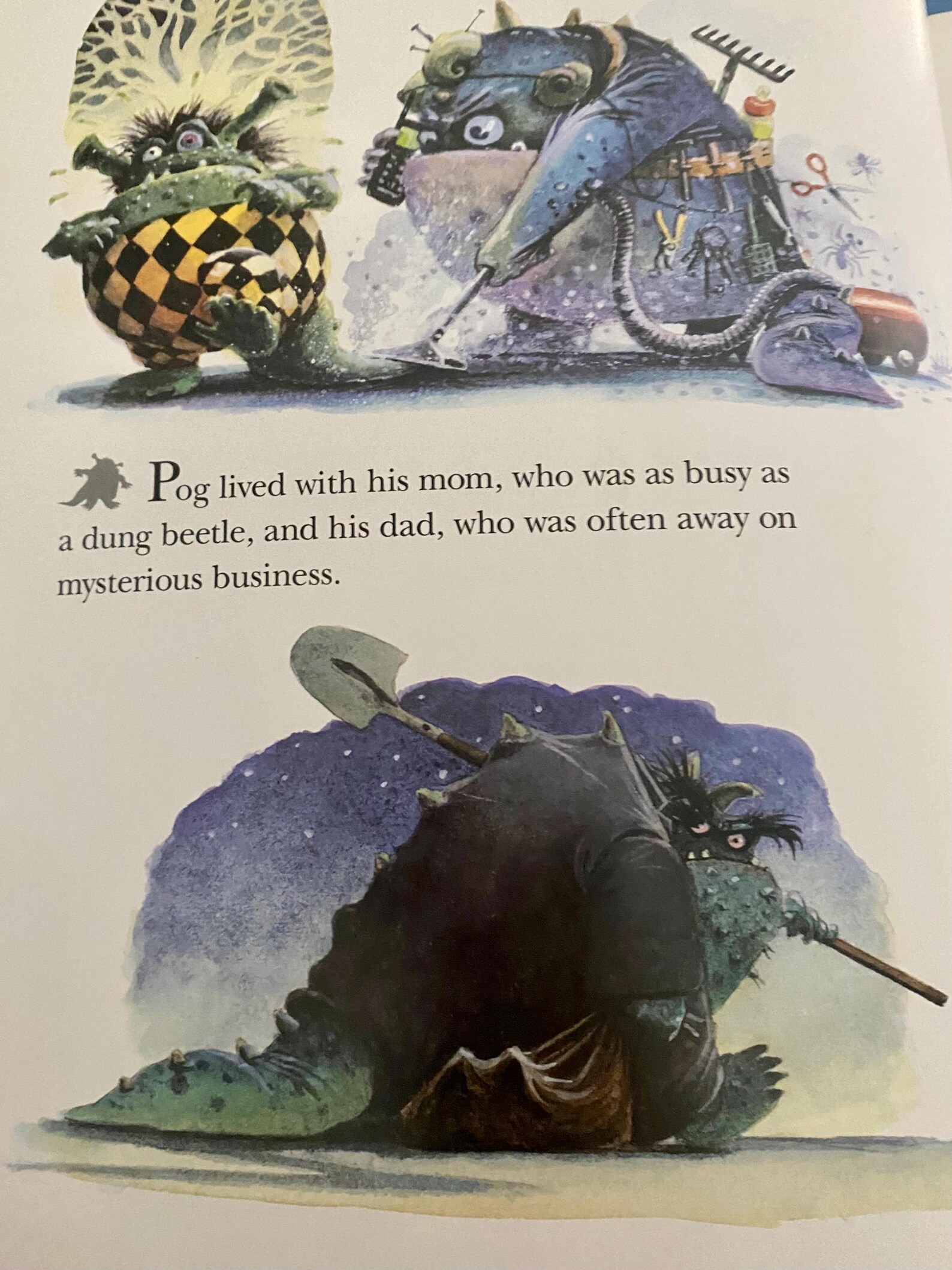 Pog by Lyn Lee and Illustrated by Kim Gamble. Vintage Copy. - Etsy