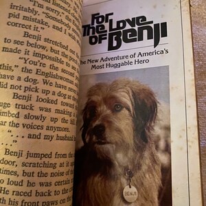 For the Love of Benji. 1974. Vintage Copy - Etsy