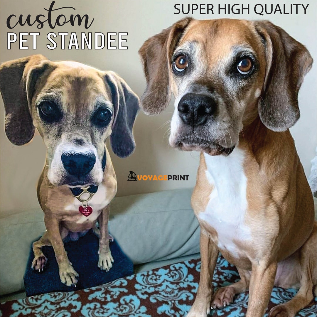 Custom Pet Standee, Realistic Dog, Cat, Photo Cutout - Etsy