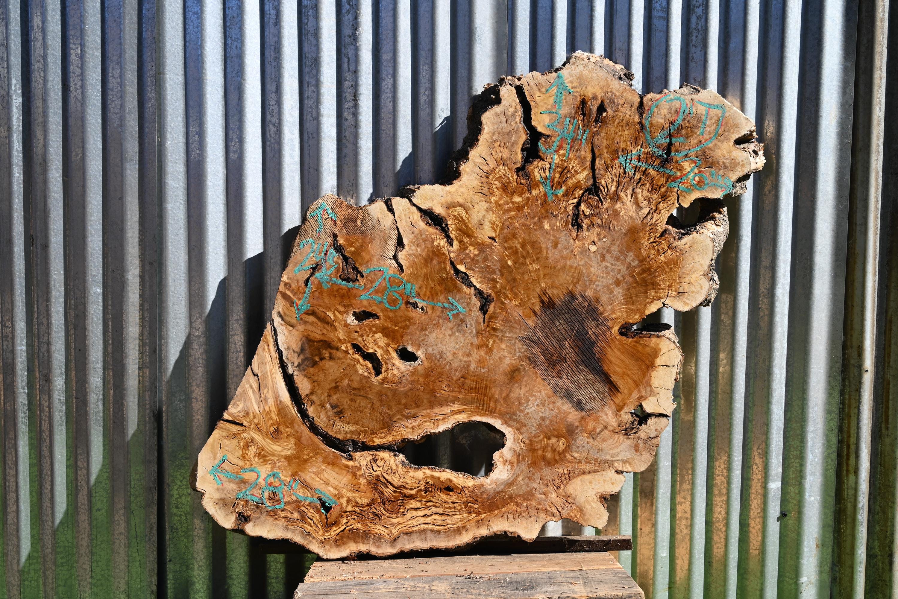 Olive Root Burl Slab - Etsy