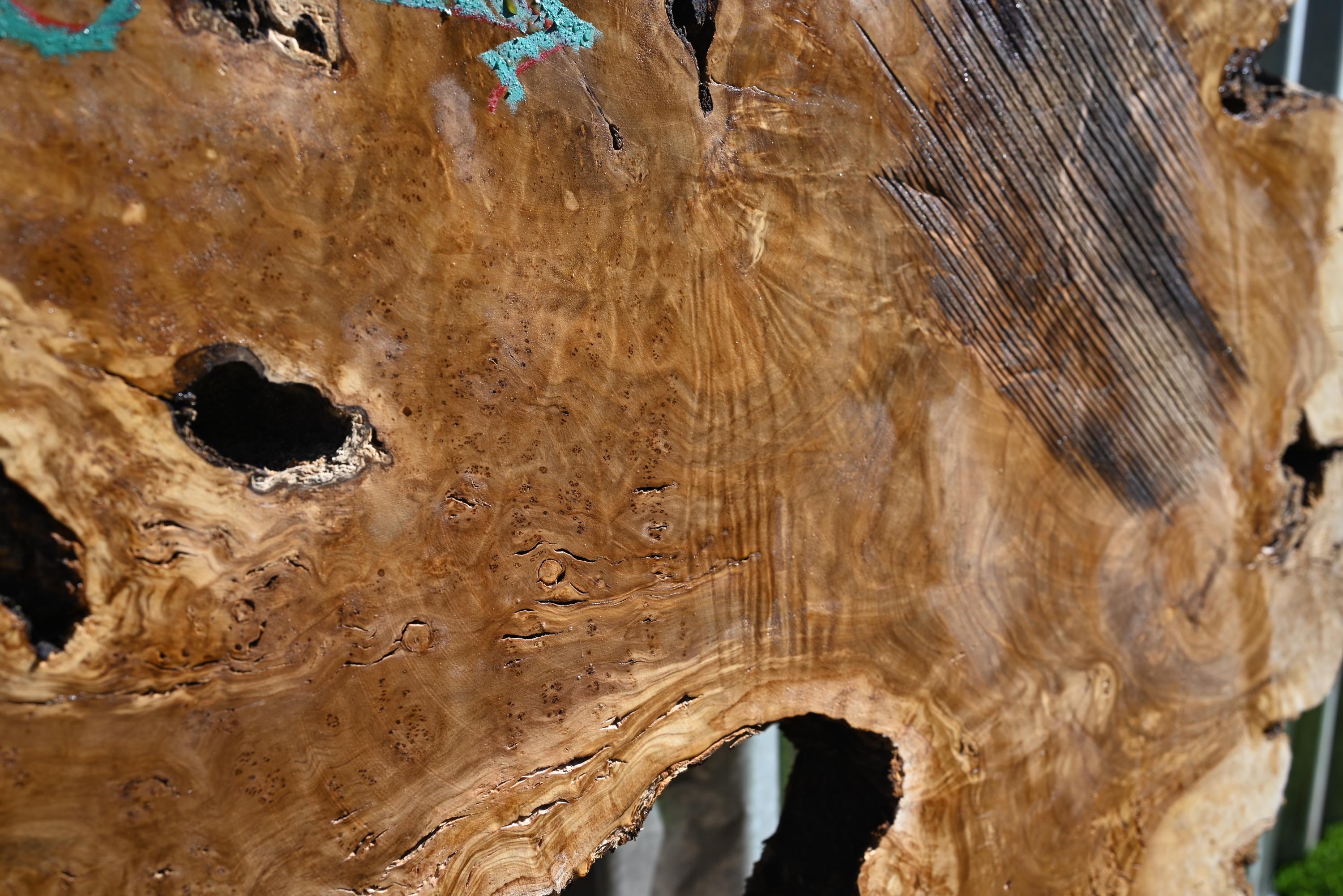 Olive Root Burl Slab - Etsy