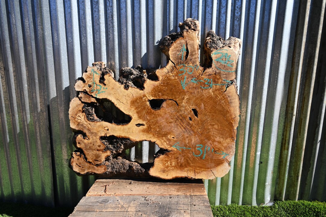 Olive Root Burl Slab - Etsy