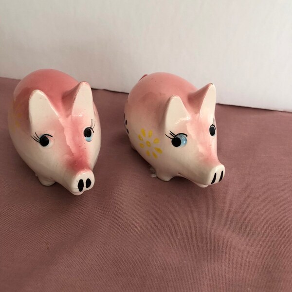 Pig Salt and Pepper - Etsy