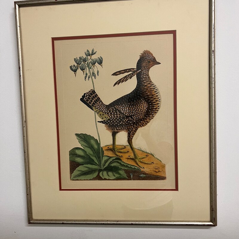 Hand Colored Etching - Etsy