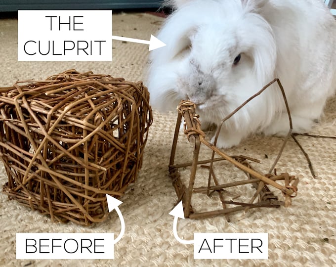 Willow Cube Chew Toy | Bunny Rabbit, Guinea Pig, Chinchilla, Small Pet ...