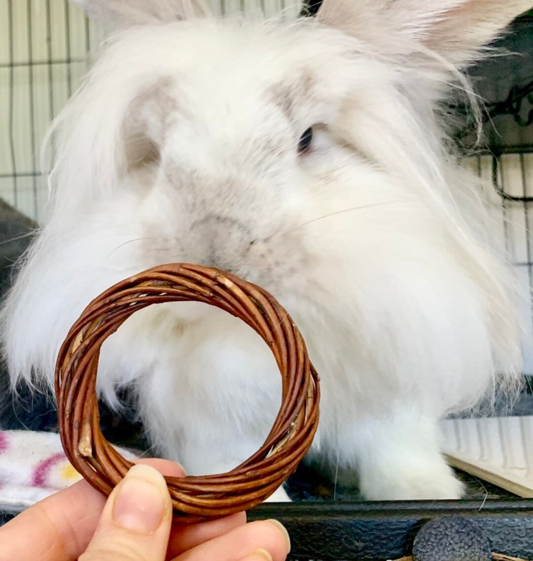 Willow Rings | Chew Toy for Bunny Rabbits, Guinea Pigs, Chinchillas ...