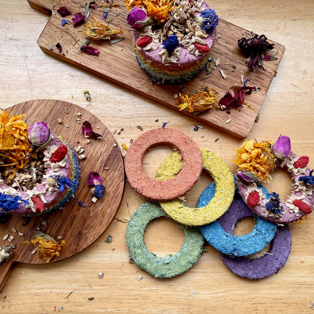 Festivity Cake Birthday & Gotcha Day Cake for Bunny Rabbits and Other ...