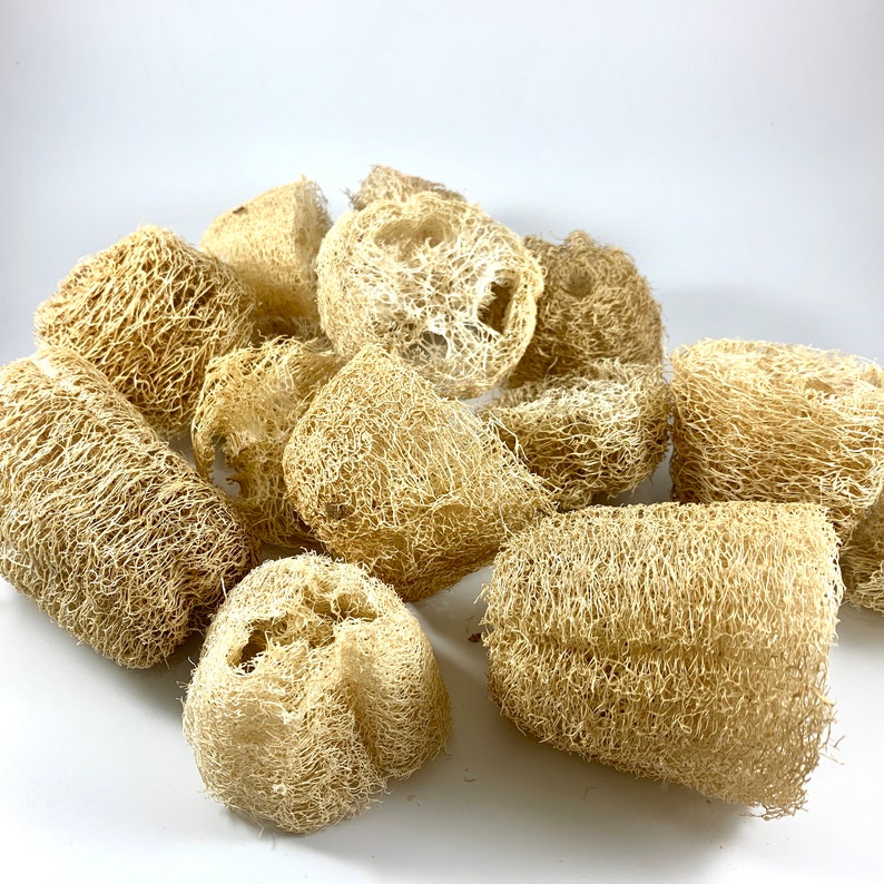 DISCOUNTED Loofah Bits & Bobs | Luffa Gourd | Bunny Rabbit, Guinea Pig ...