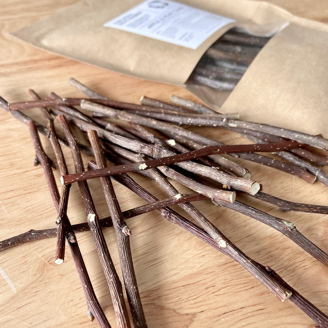 Organic Apple,pear, & Blueberry Chew Sticks for Bunny Rabbits, Guinea ...