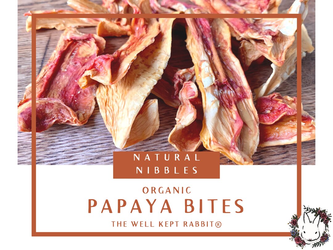 Papaya Bites Molting Aid, Dietary Fiber, Proteolytic Enzymes 2 Oz ...