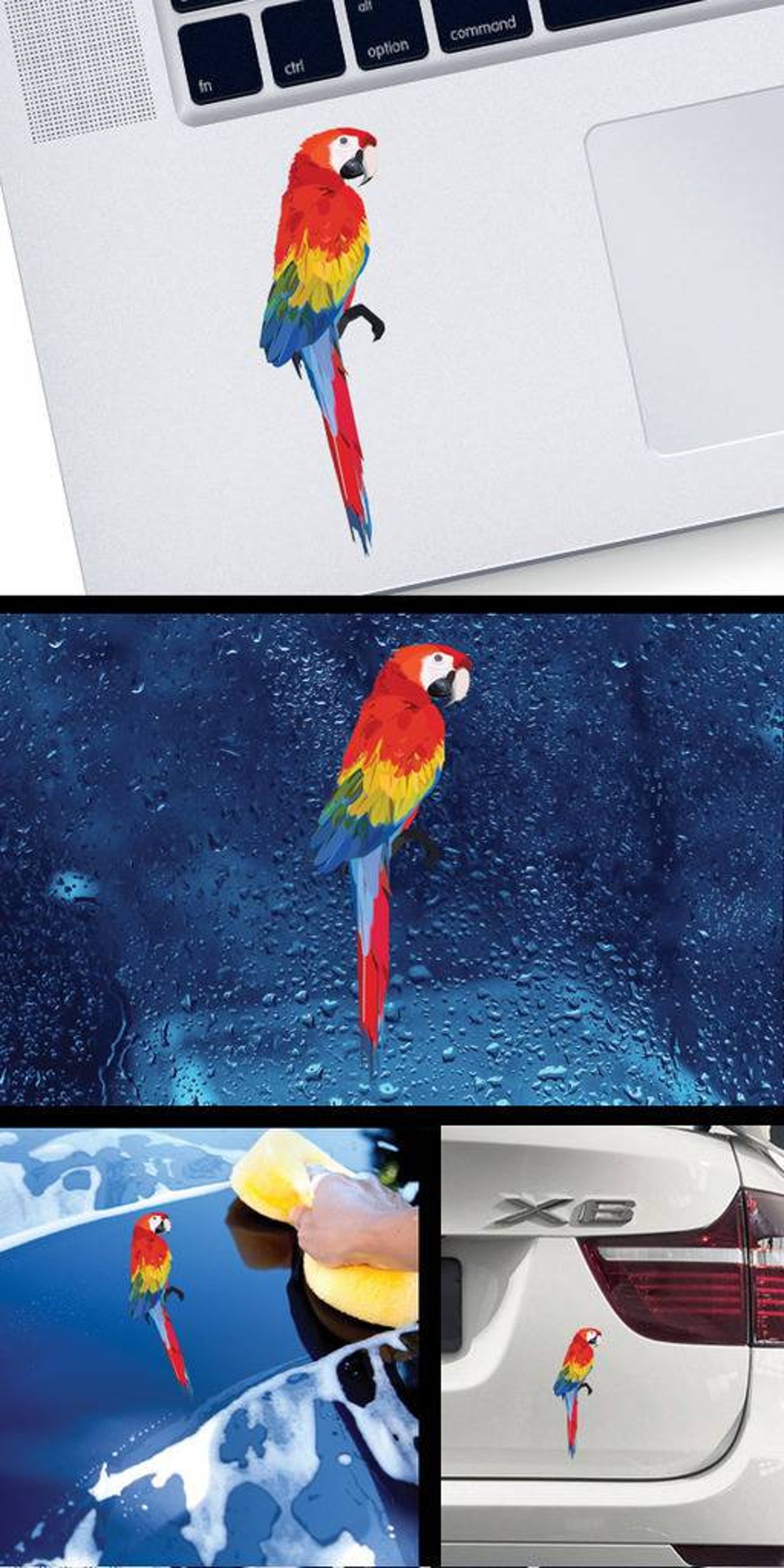Decal Sticker Macaw Parrot Aloha Bird Caribbean Hawaii Tropical Full ...