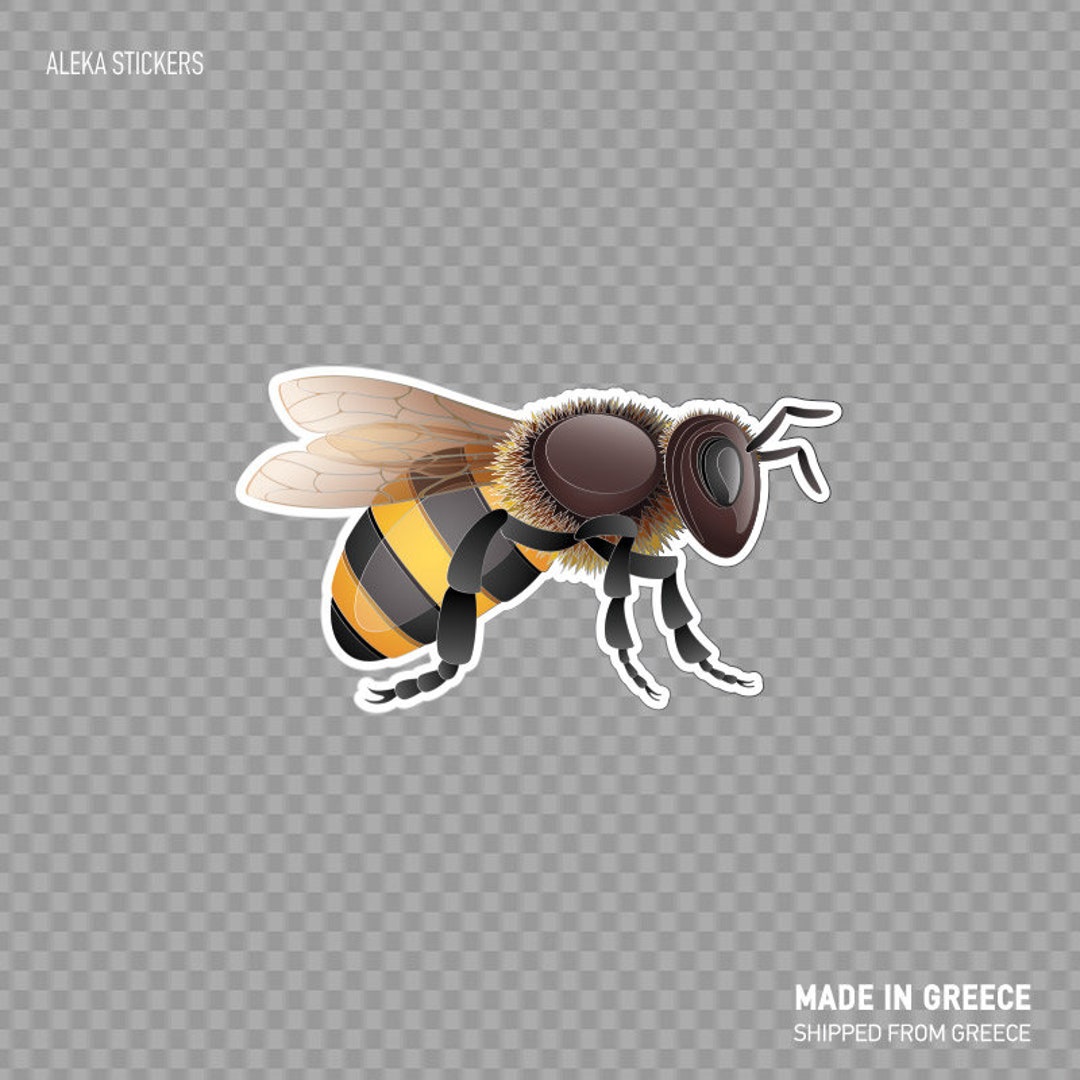 Decal Sticker Bee Wasp Hornet Illustration XR5W9 - Etsy