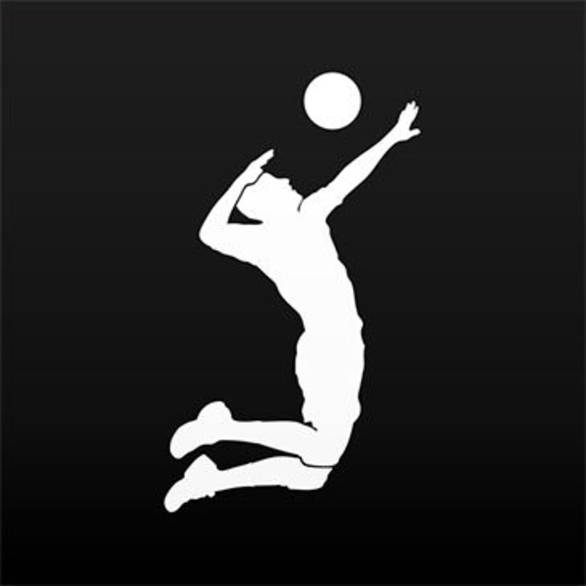 Decal Sticker Volleyball Player Figure Ball Beach Hitter Game Sports ...